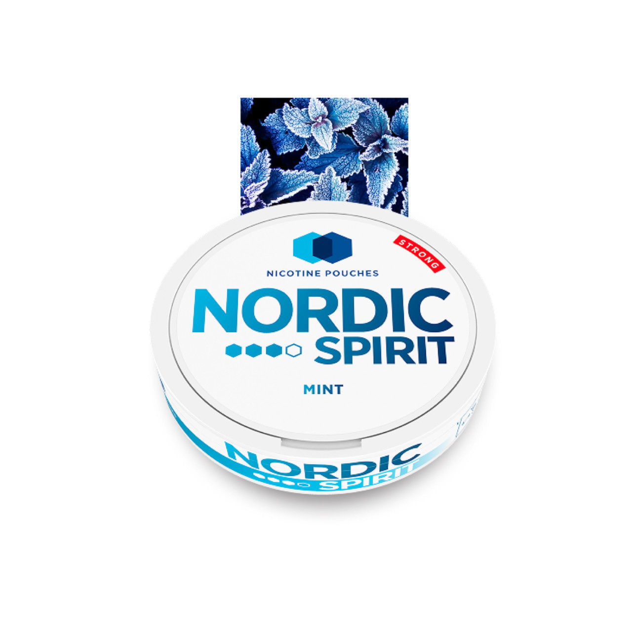 Nordic Spirit - Mint - Tobacco Free Nicotine Pouches - 9mg