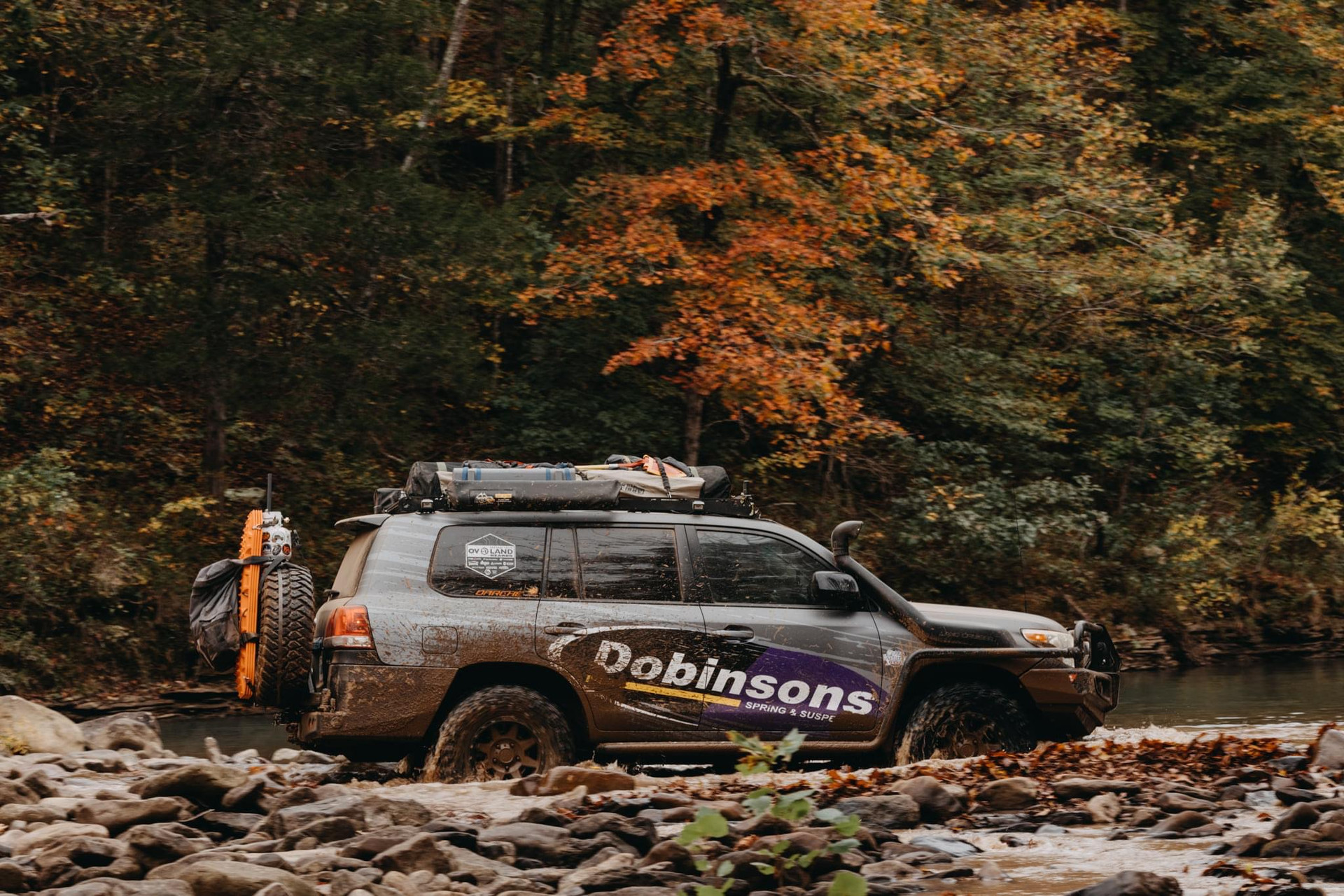 Dobinsons Spring and Suspension