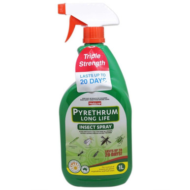 Pyrethrum Long Life Insect Spray RTU 1lt - Cape View Nursery