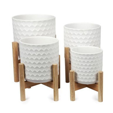 Shell Pots With Stands White - Cape View Nursery