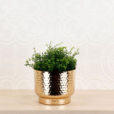Rose Gold Planter - Cape View Nursery