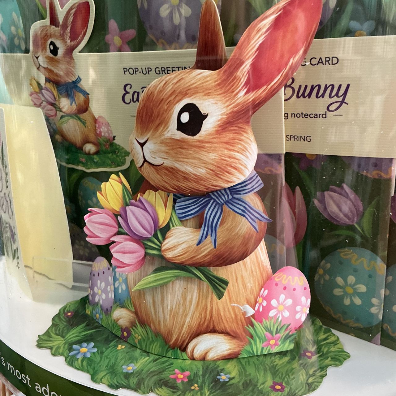 FreshCut Mini Pop Up 3D Easter Bunny Greeting Card - Go Brazen