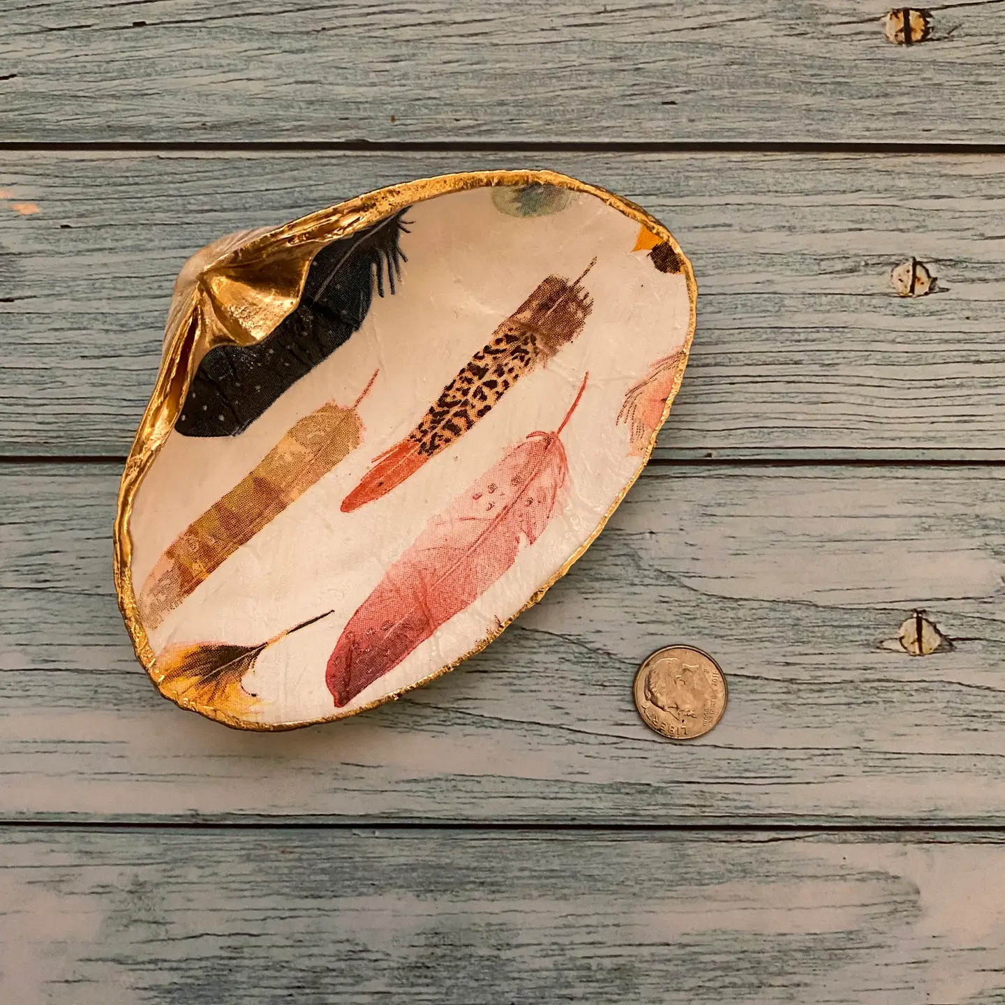 Shell, Feathers - Go Brazen