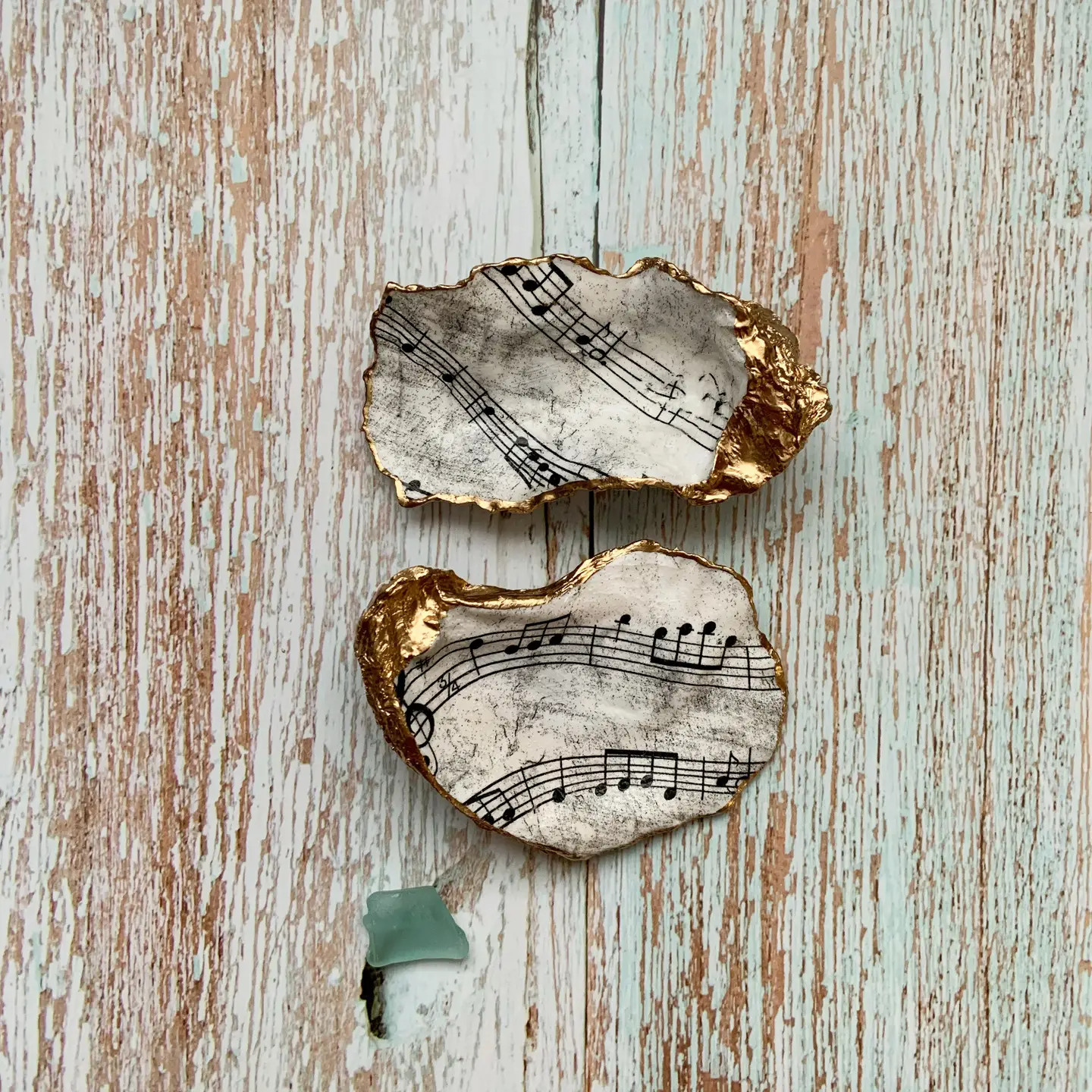 Shell, Music Musical Note - Go Brazen