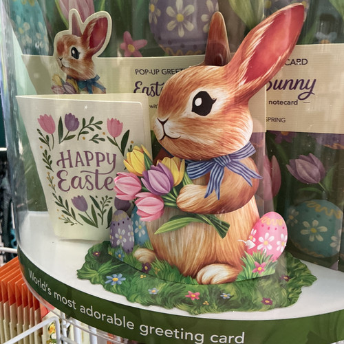 FreshCut Mini Pop Up 3D Easter Bunny Greeting Card - Go Brazen