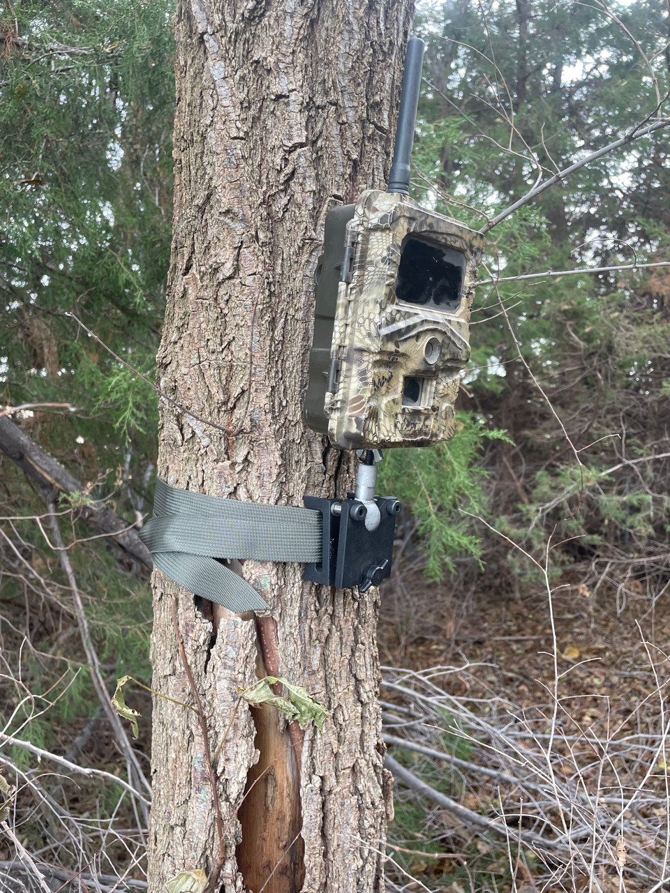 Trail Camera Swivel Mount For Deer Hunting