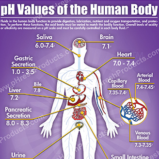 pH Values of the Human Body - pHresh Products