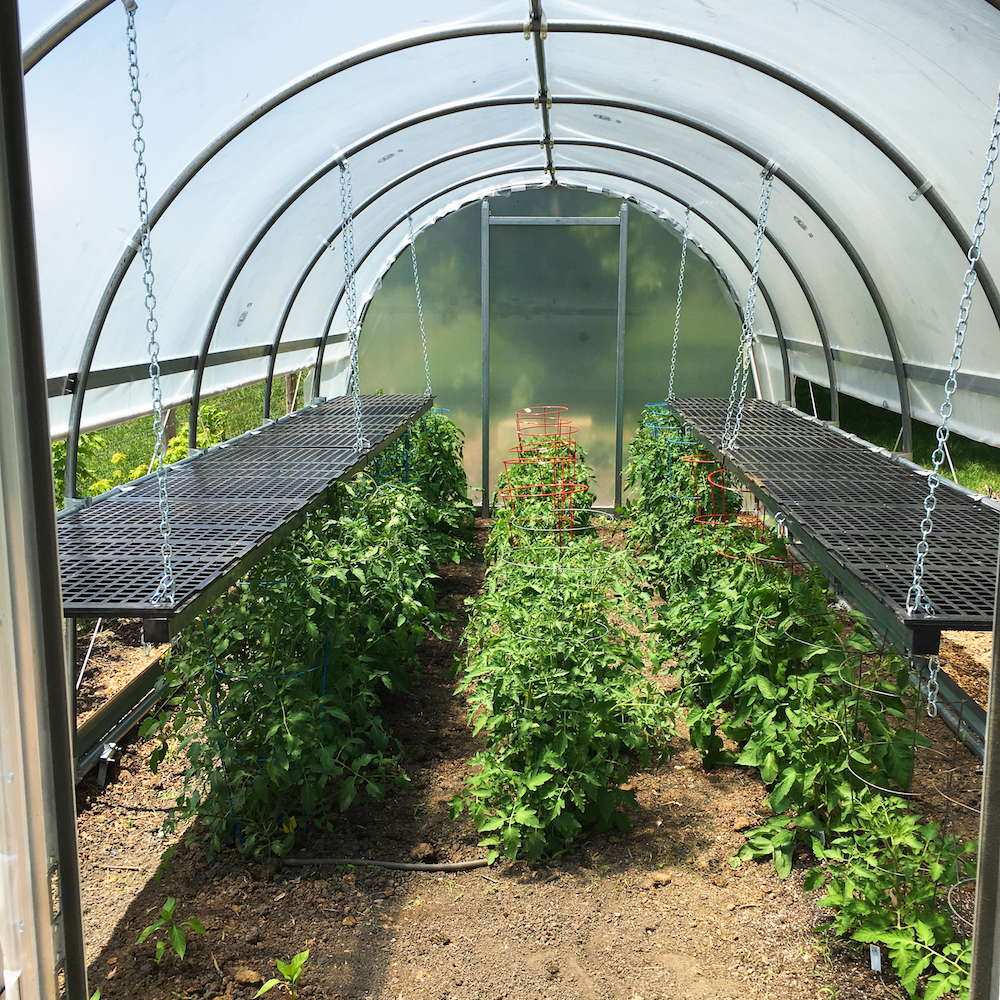 Hoop House Bench Installation Completed for a Backyard Homesteader and ...