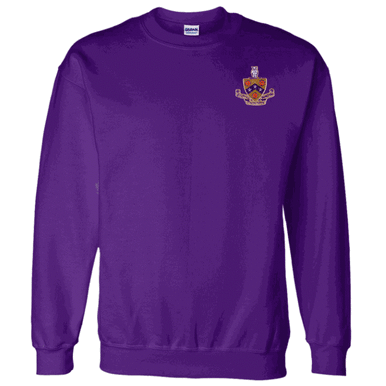 DISCOUNT-FIJI Fraternity World Famous Crest - Shield Crewneck ...