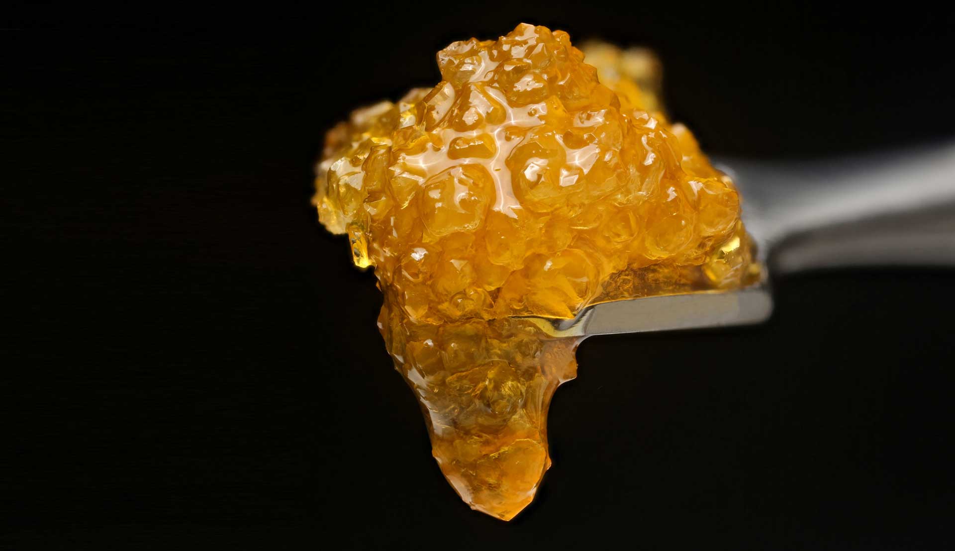 Let's Compare the Various Types of Concentrates! - High End Dabzation