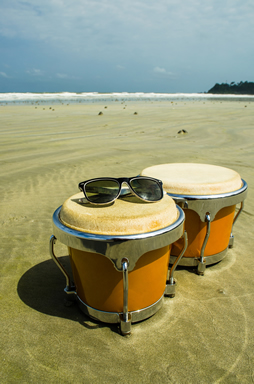 Seeing Double: The Bongos and You - X8 Drums & Percussion, Inc