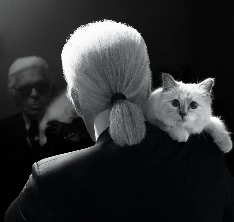 Ready, set, jet... CHOUPETTE - VineyardVintage.com