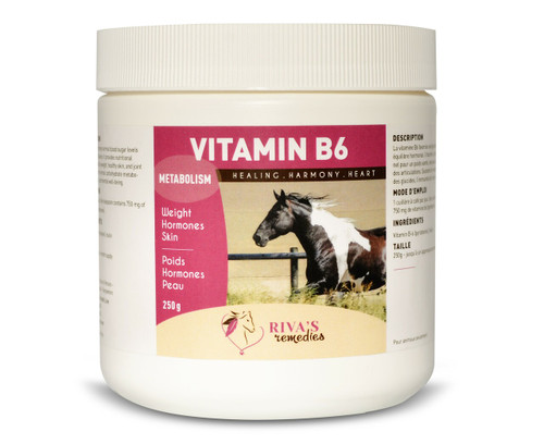 Shop - Animals - Horses - Symptom - Equine Metabolic Syndrome - Riva's Remedies