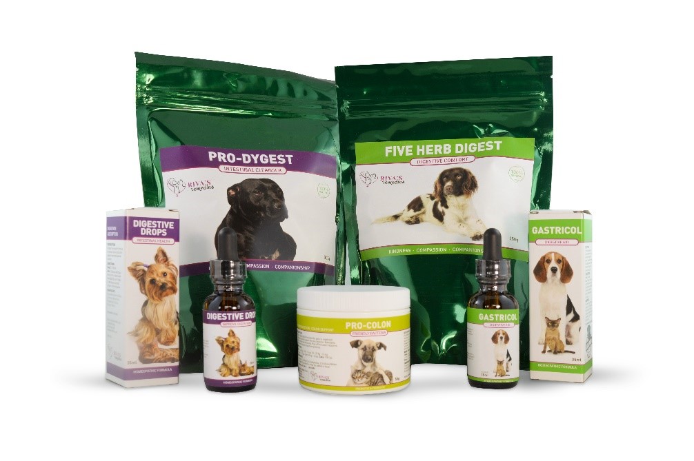 Guidelines to Feeding Supplements: Cats - Riva's Remedies