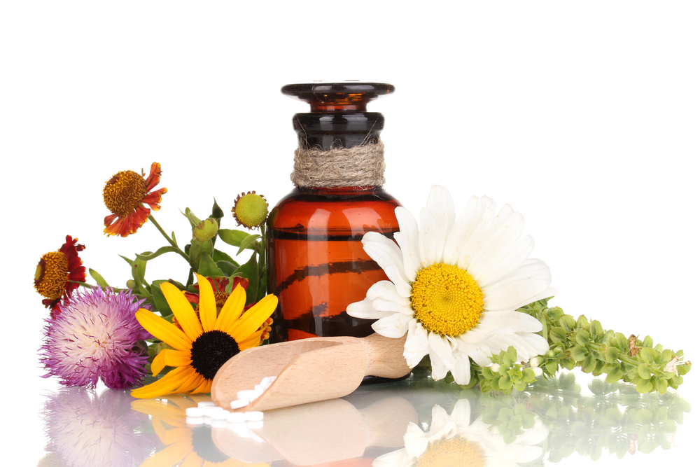 Homeopathy & Pets Part II - Riva's Remedies