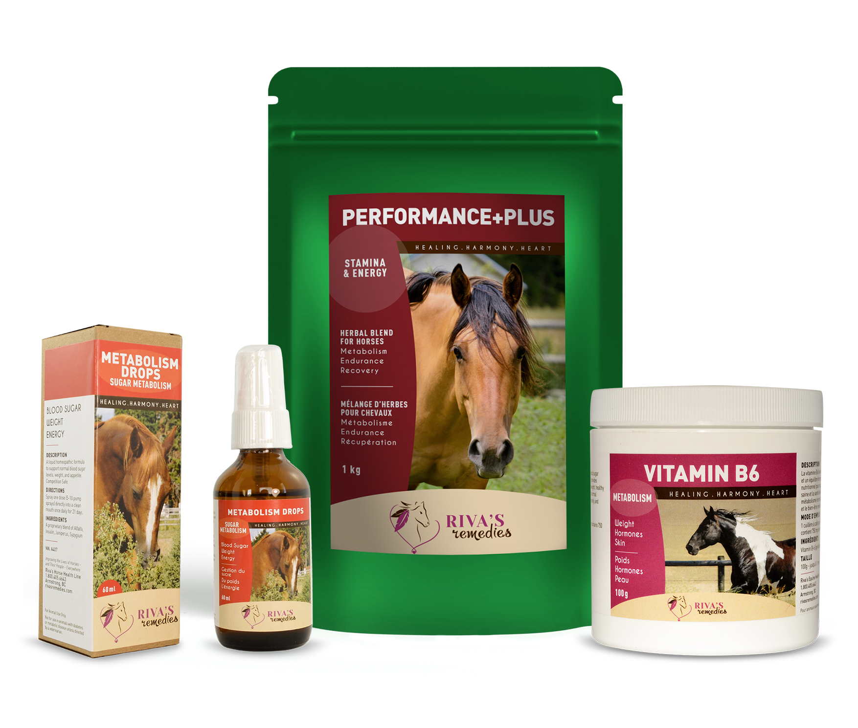 Guidelines To Feeding Supplements: Horses - Riva's Remedies