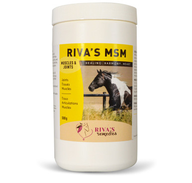 Riva's MSM for Horses - Riva's Remedies