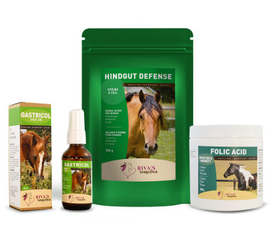 Parasite Support Bundle Special for Horses - Riva's Remedies