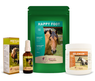 Hoof Care Bundle - Rivas Remedies Horse Health