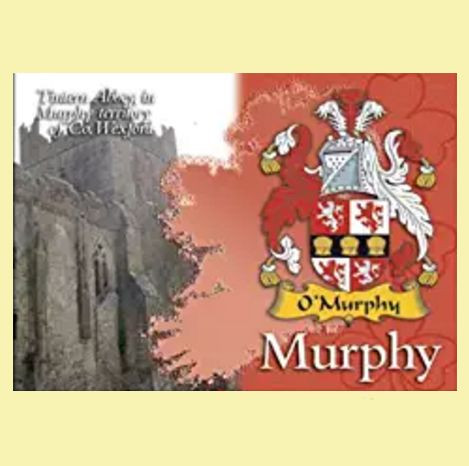 Murphy Coat of Arms Irish Family Name Fridge Magnets Set of 2 - For ...
