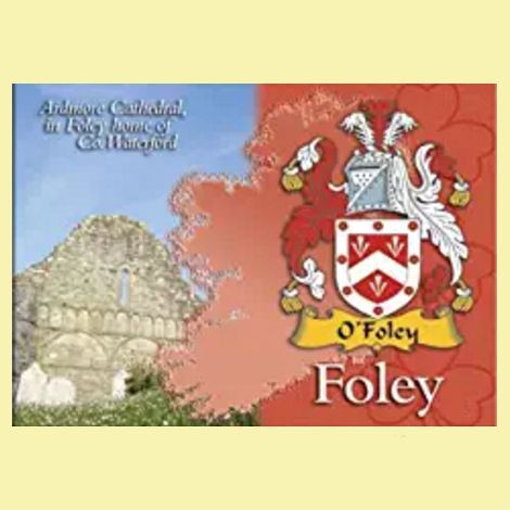 Foley Coat of Arms Irish Family Name Fridge Magnets Set of 2 - For ...
