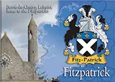 Fitzpatrick Coat of Arms Irish Family Name Fridge Magnets Set of 2 ...