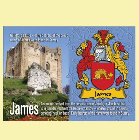 James Coat of Arms English Family Name Fridge Magnets Set of 2 - For ...