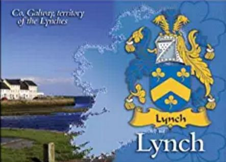 Lynch Coat of Arms Irish Family Name Fridge Magnets Set of 2 - For ...