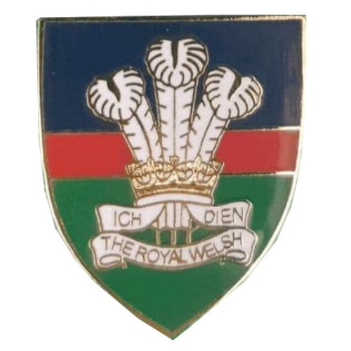 The Royal Welsh Military Shield Enamel Badge Lapel Pin Set x 3 - For ...