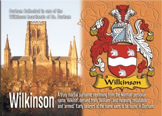 Wilkinson Coat of Arms English Family Name Fridge Magnets Set of 2 ...