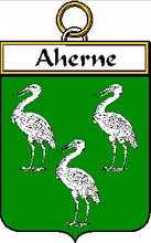 Your Irish Coat Of Arms Family Crest Paper Poster - For Everything ...