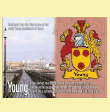 Young Coat of Arms English Family Name Fridge Magnets Set of 2 - For ...
