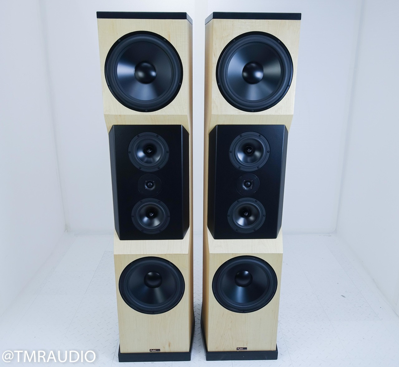 Tyler Acoustics D12X Studio Mastering Monitors / Speakers; Birch Pair ...
