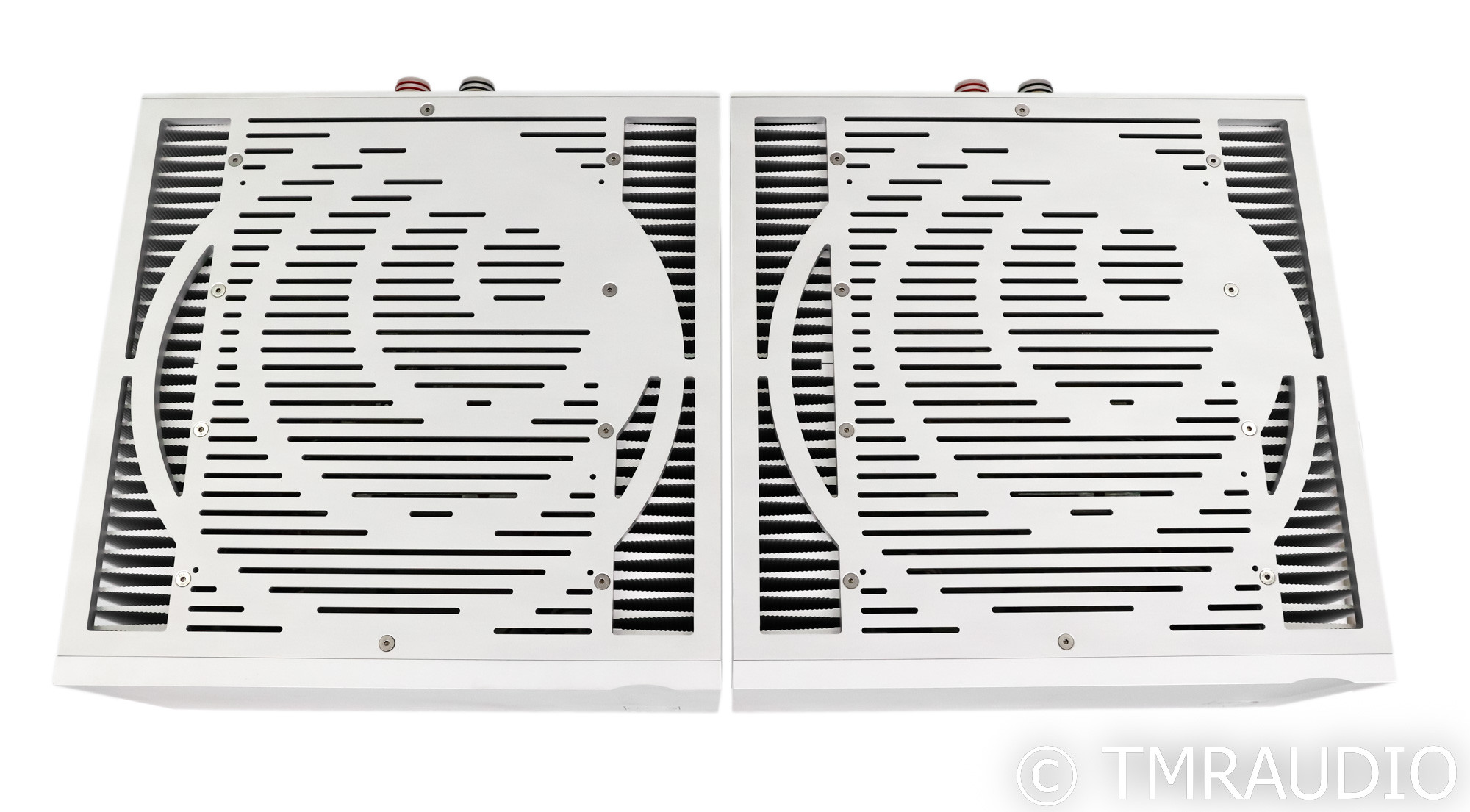 Ypsilon Aelius Mono Tube Hybrid Power Amplifier; Silver Pair (New Tubes ...