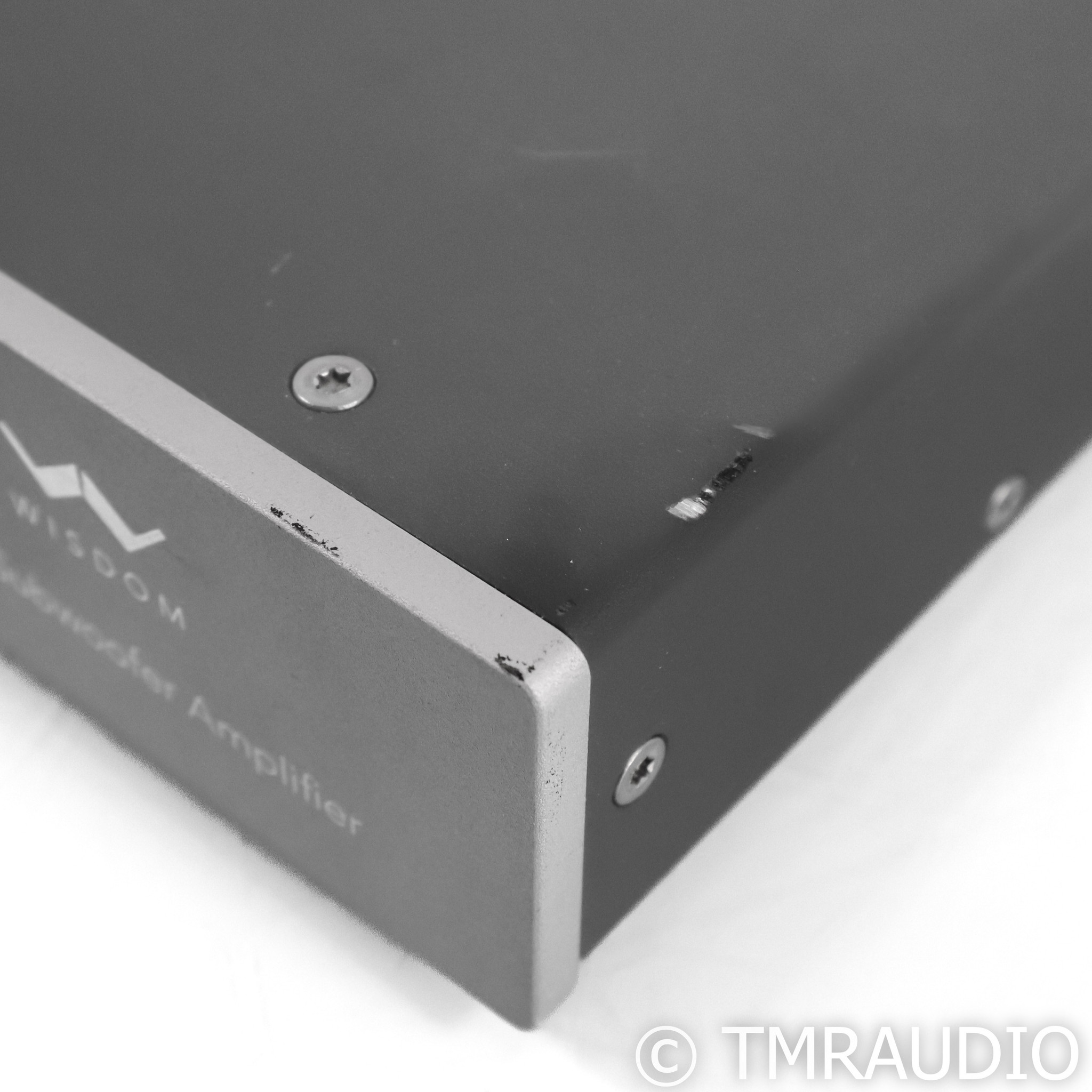 Wisdom Audio SCS2 Subwoofer w/ SW-1 Amplifier - The Music Room