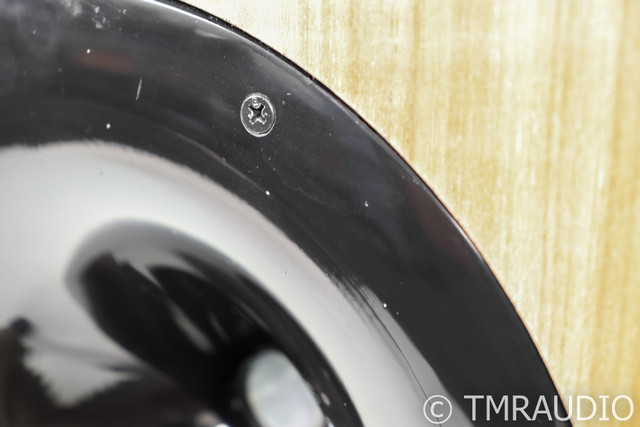 Audio Kinesis Custom Jazz Module Floorstanding Speakers; Walnut Pair ...