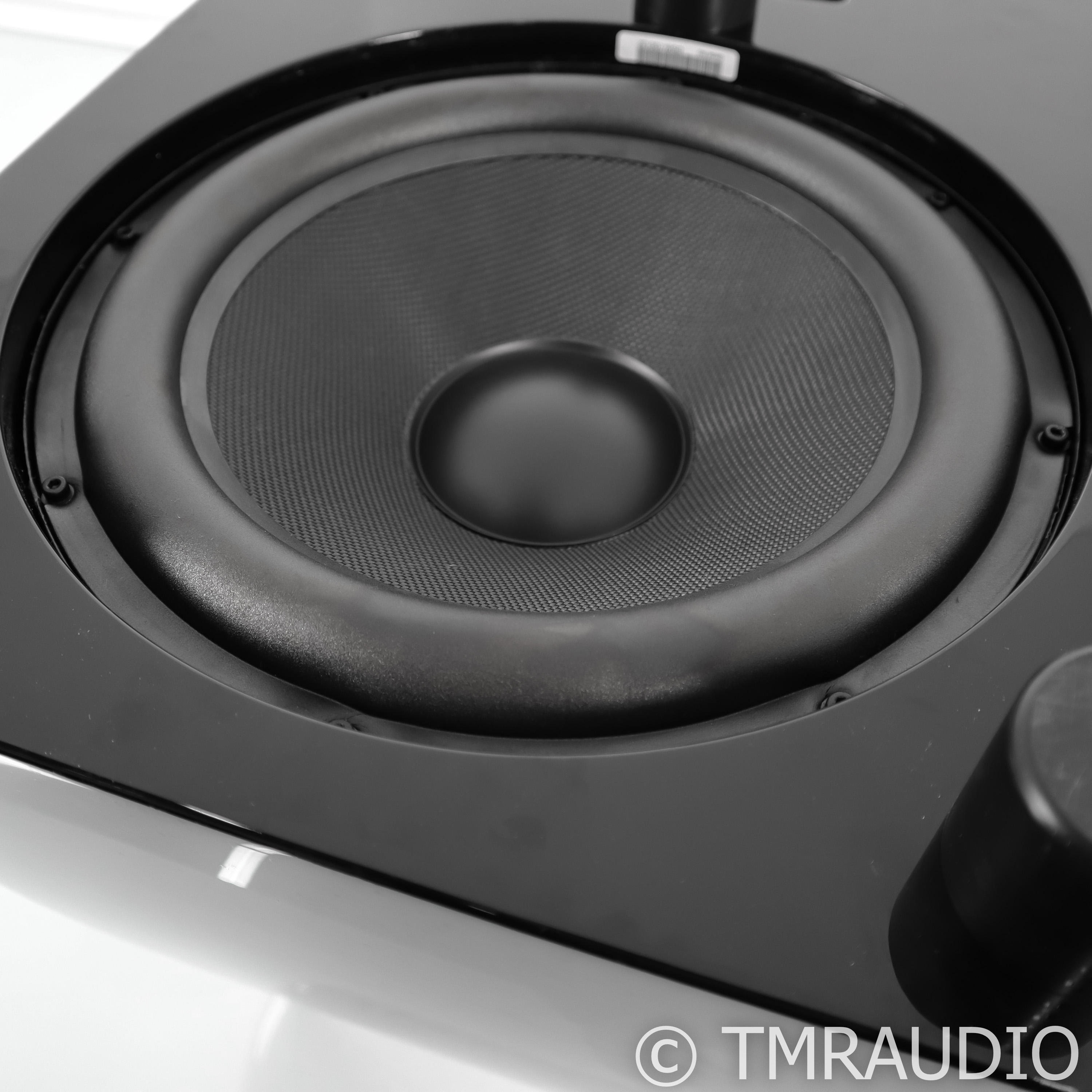 Meridian DSW 12" Powered Subwoofer; Black - The Music Room