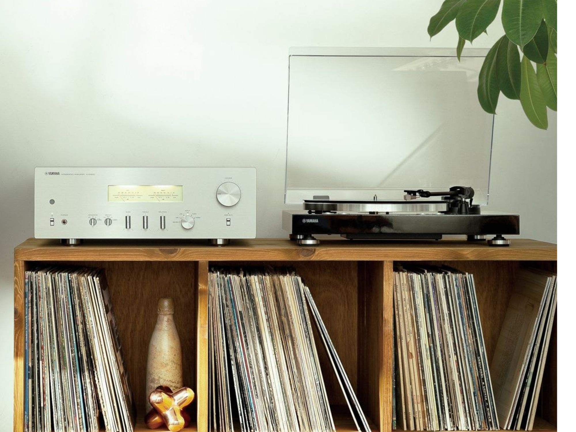 Integrated Amplifier vs. Separates: Which Should You Buy? - The Music Room