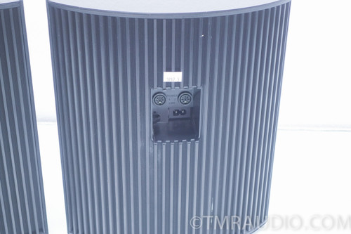 B&O BeoLab 4000 Powered Wall mount Speakers - The Music Room