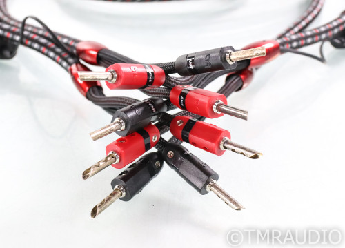 AudioQuest CV-8 Full Range Speaker Cables