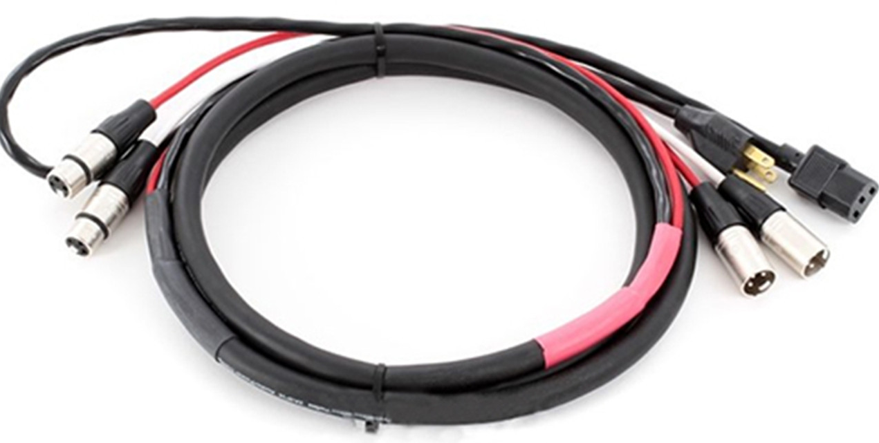 Rapco Horizon EC2-125 Siamese Twin Audio / Power Cable With Edison Plug ...