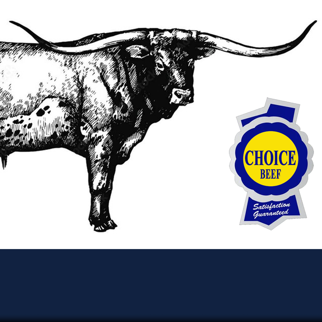 Longhorn Beef | Twin G Ranches