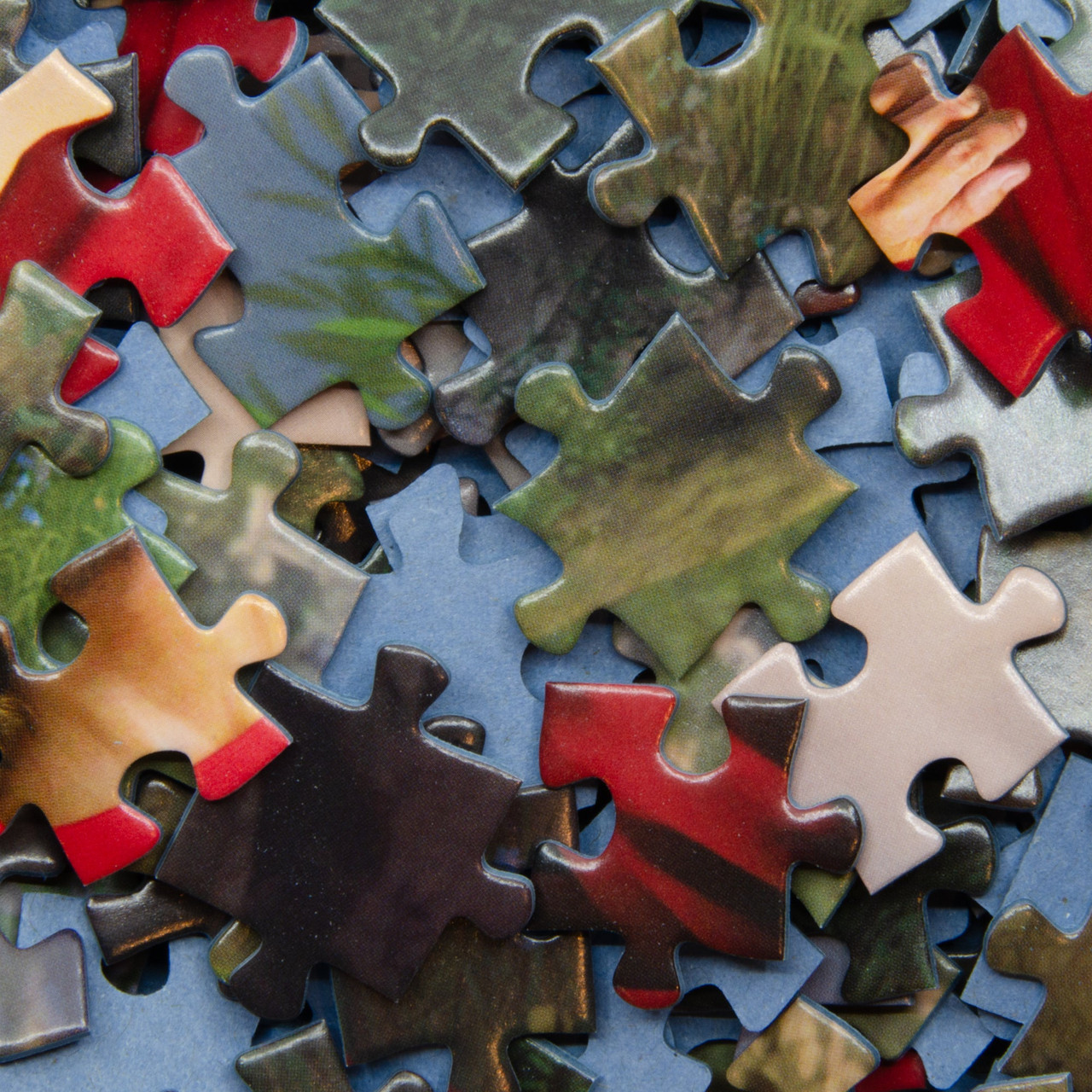 In His Majesty and Power Puzzle (500 Pieces) - Cardston Book Shop