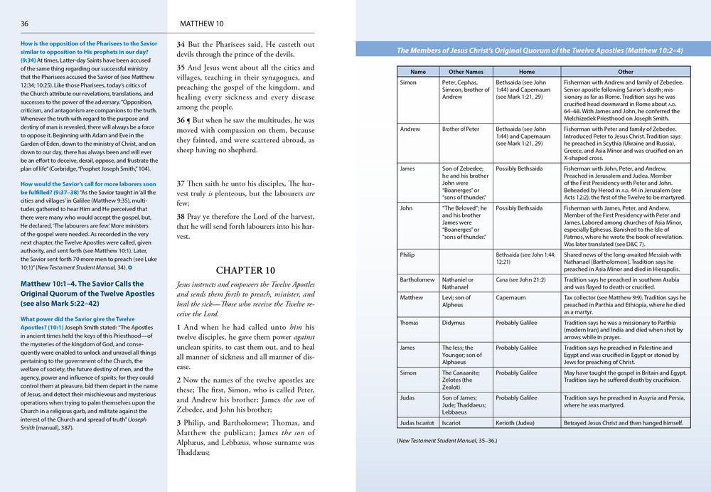 The New Testament Study Guide: Start to Finish (Paperback) - Cardston ...