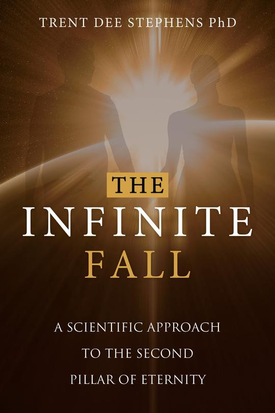 The Infinite Fall (Paperback) - Cardston Book Shop