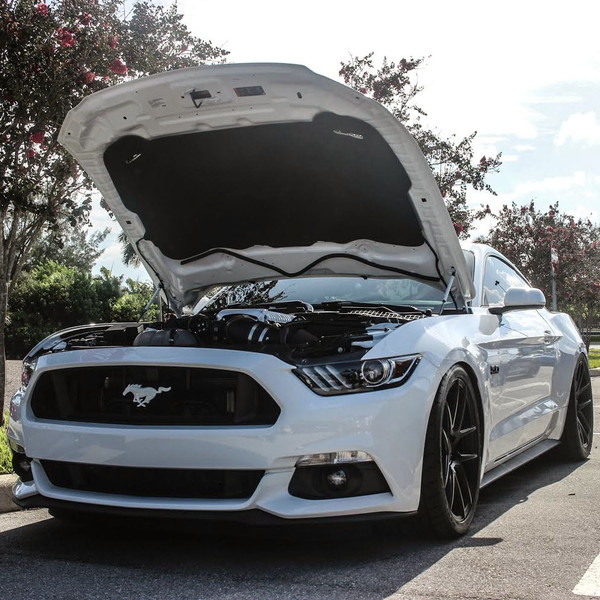 15 23 Mustang Gt Emblem Package Color Coded Ford Officially Licensed
