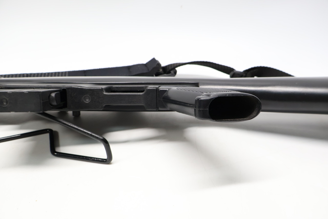 Armscore M1600 .22LR