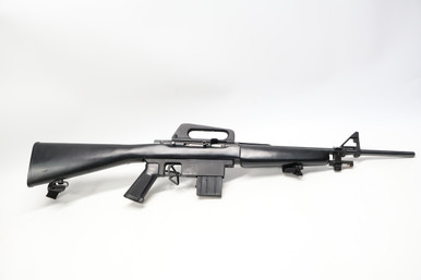 Armscore M1600 .22LR