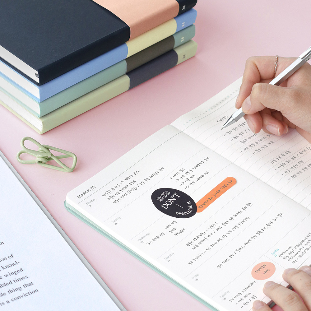 ICONIC 2024 Flow Diary (6 colours)