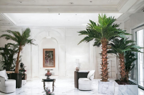 Alena: Lifelike Palm Tree - Authentic Palm Trees - Realistic Foliage